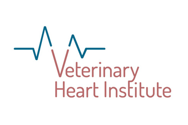 Our Consultants | Vision Veterinary Imaging